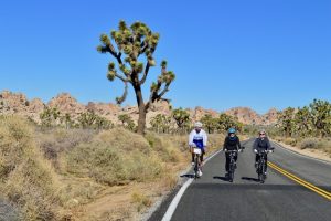 Tours list - USA Biketours